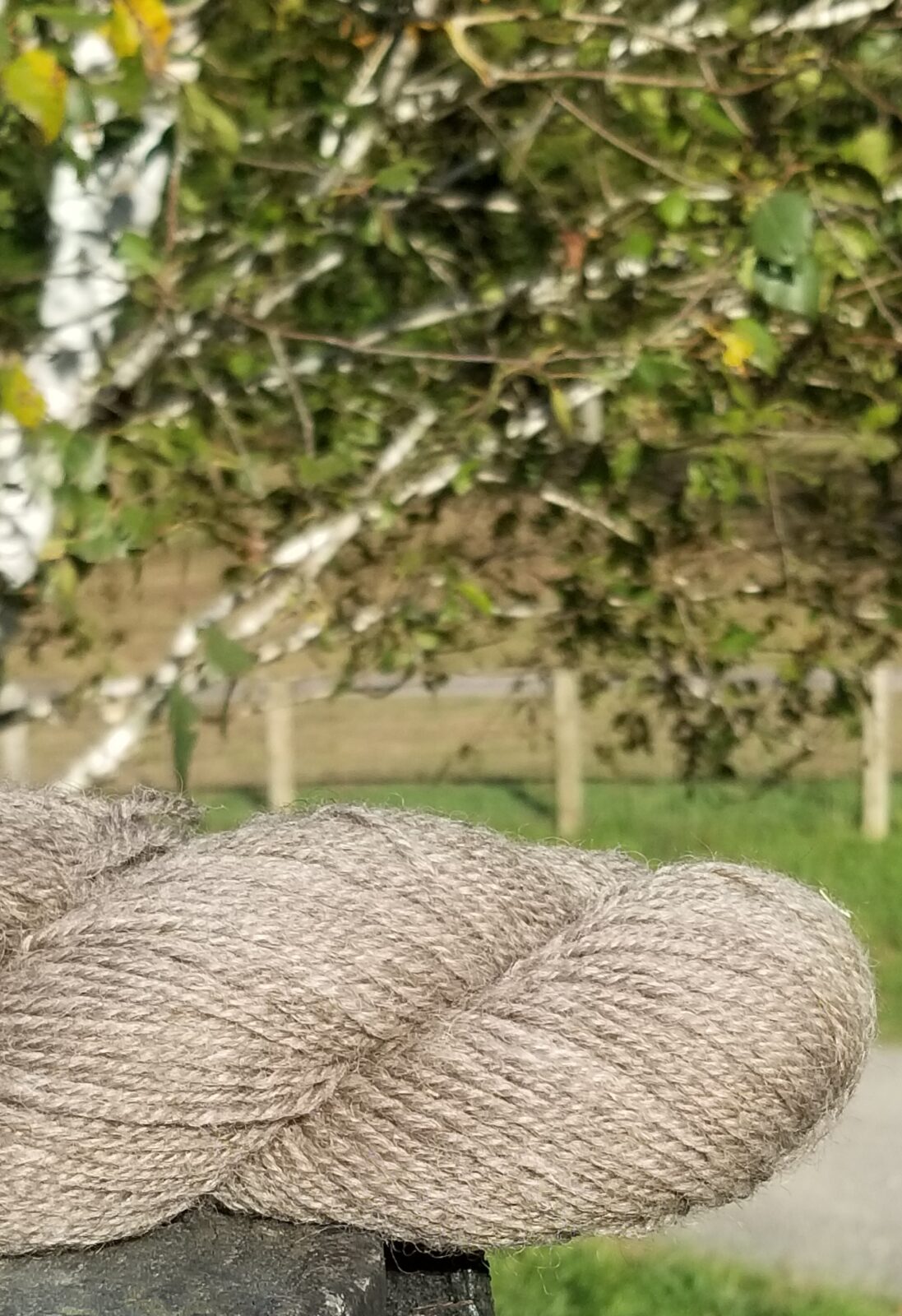 Natural Warm Grey Finnsheep LAMB Sport Weight Yarn - Finnsheep.net - Point of View Farm ...